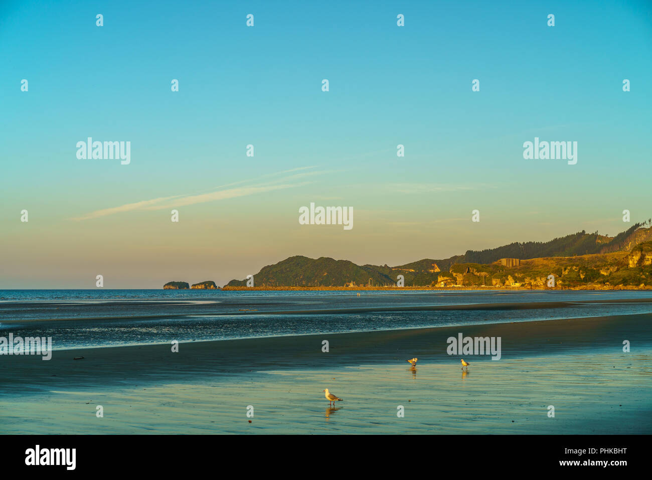 seagulls and golden sunset over the beach of pohara, new zealand Stock ...