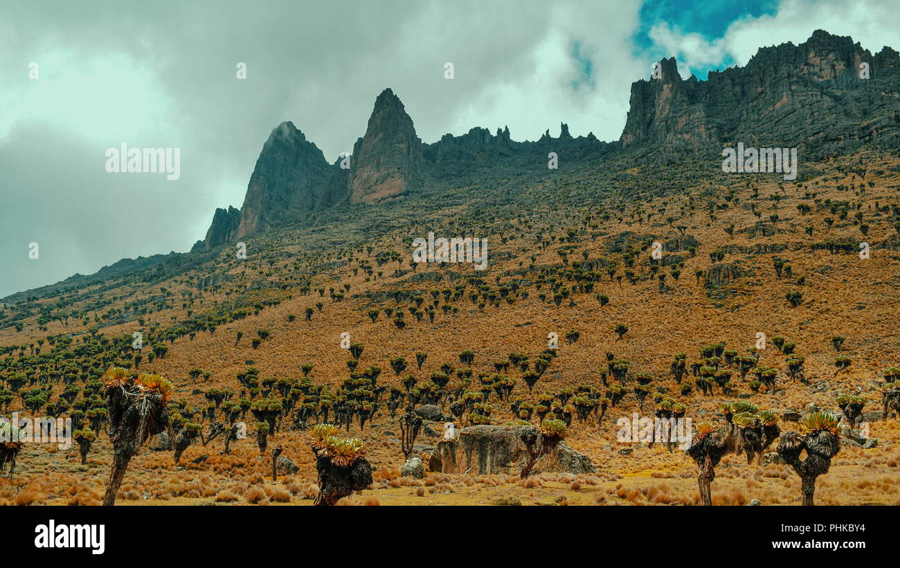 The volcanic landscapes of Mount Kenya, Mount Kenya National Park ...