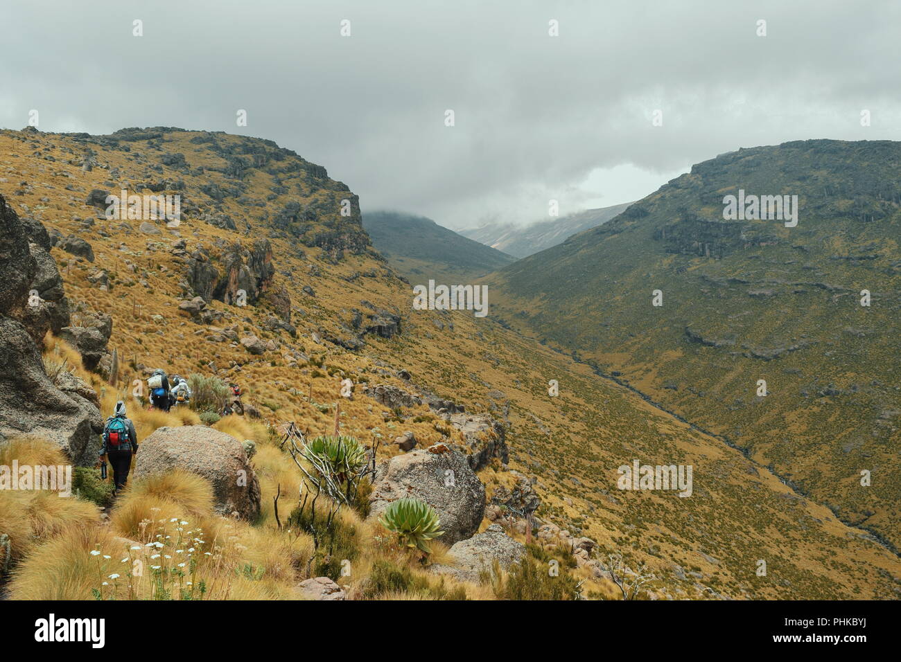 Mountain Landscapes of Mount Kenya, Kenya Stock Photo - Alamy