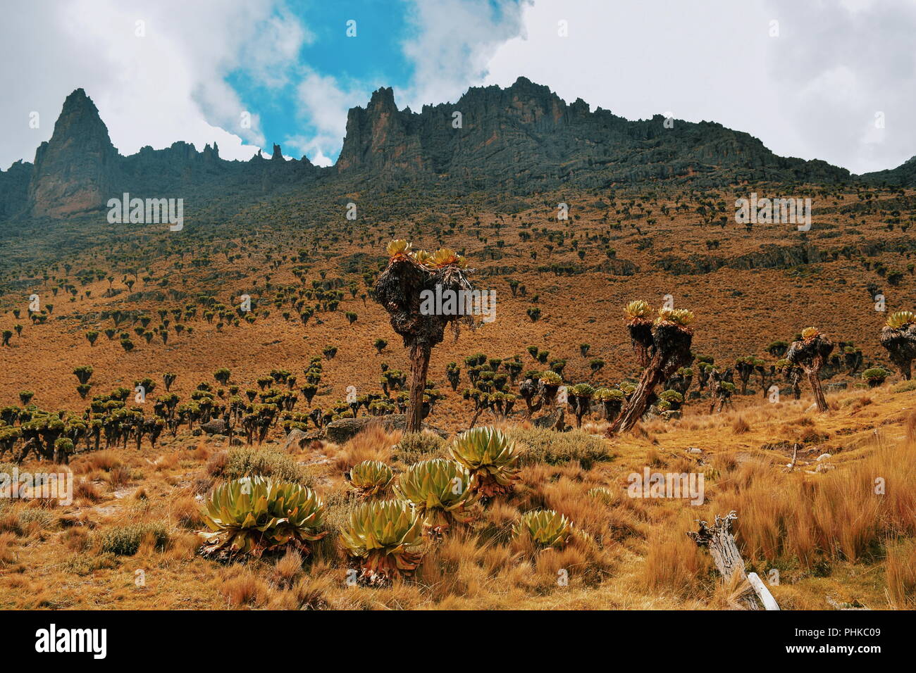 The volcanic landscapes of Mount Kenya, Mount Kenya National Park ...
