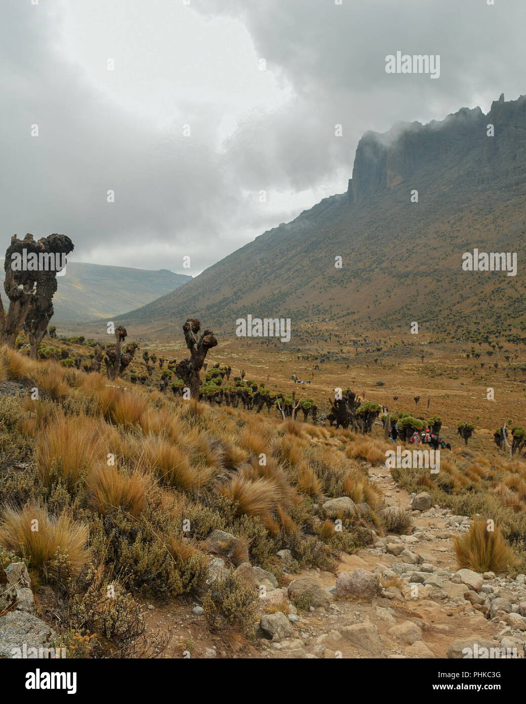 The volcanic landscapes of Mount Kenya, Mount Kenya National Park ...