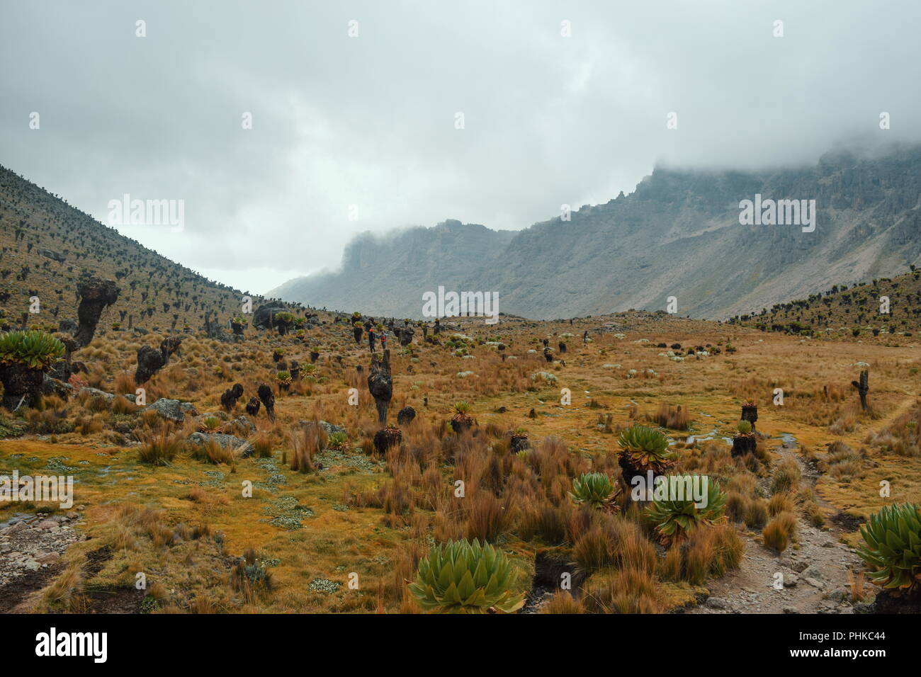 The volcanic landscapes of Mount Kenya, Mount Kenya National Park ...