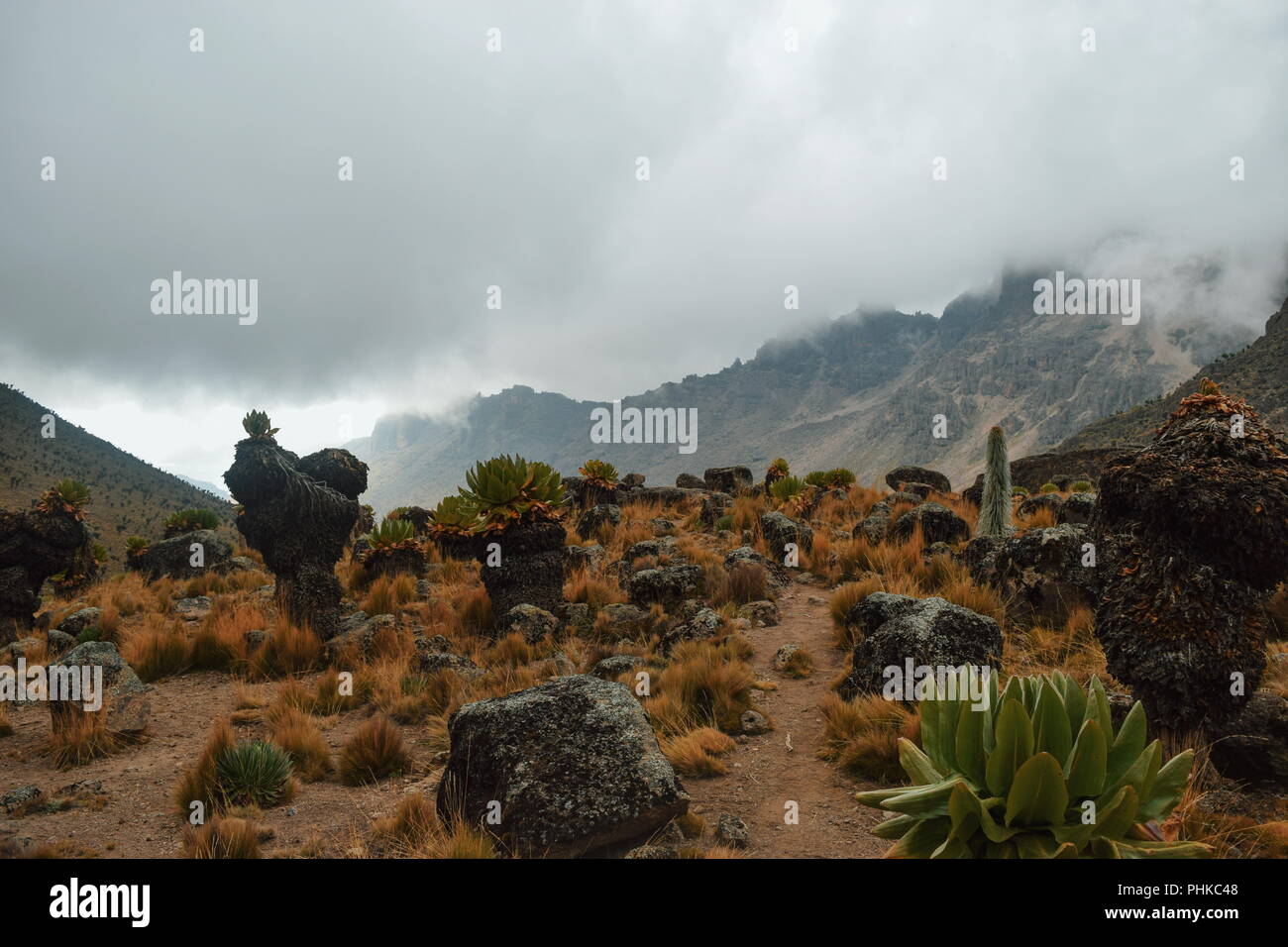 The volcanic landscapes of Mount Kenya, Mount Kenya National Park ...