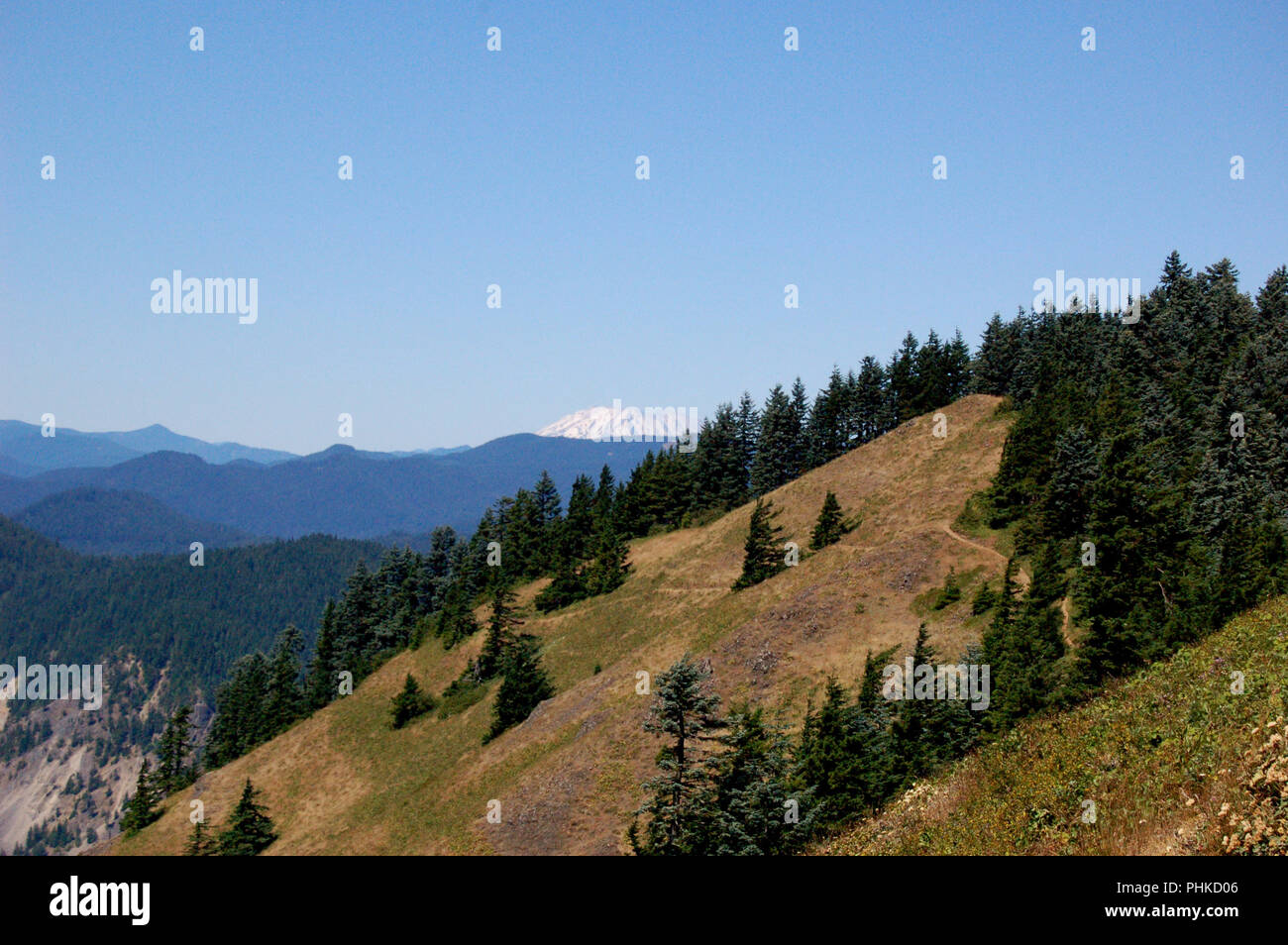 Columbia river gorge dog hi-res stock photography and images - Alamy