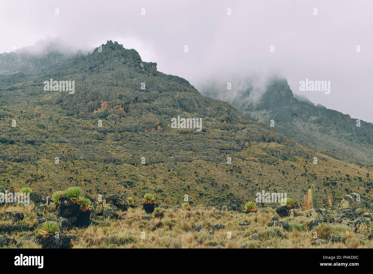 The volcanic landscapes of Mount Kenya, Mount Kenya National Park ...