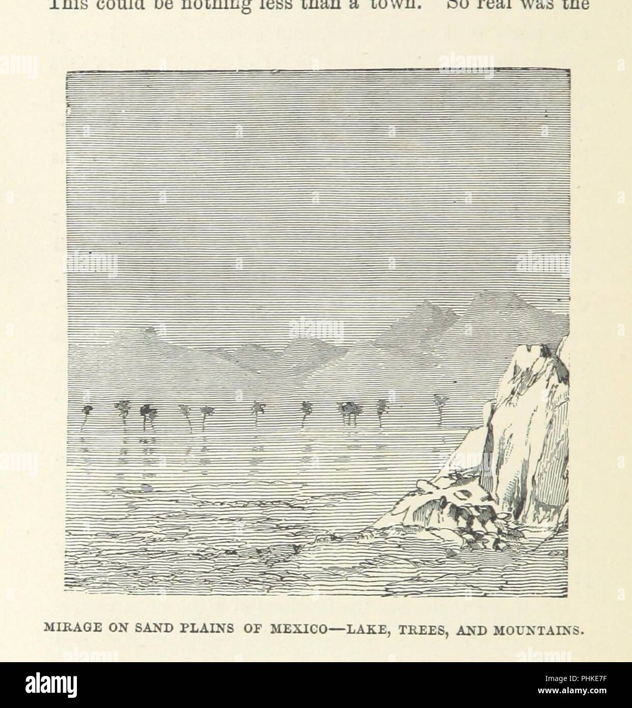 Nature picture library hi-res stock photography and images - Alamy