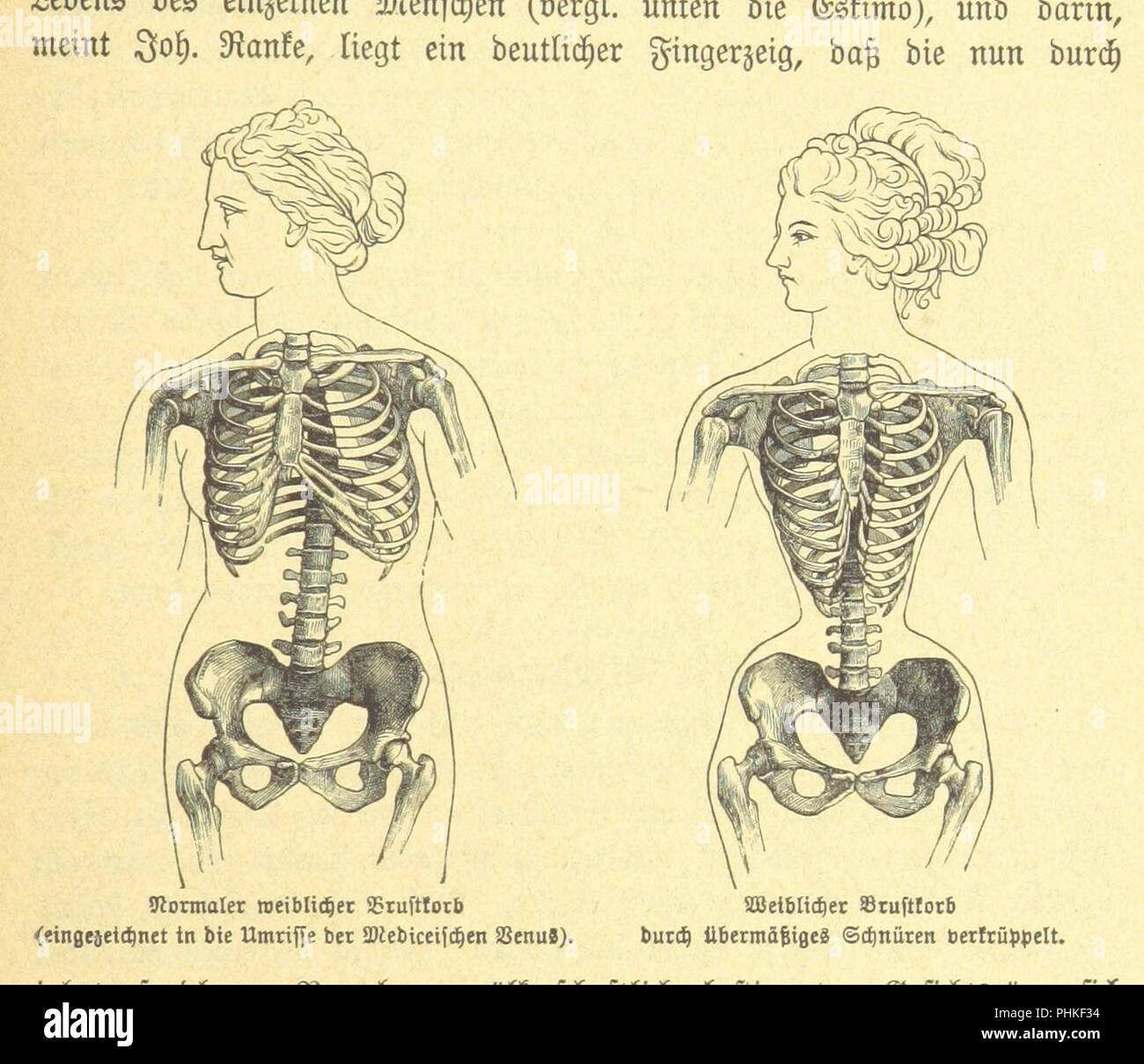 Image from page 37 of 'Der Mensch und seine Rassen. Mit ... Illustrationen' Stock Photo - Alamy