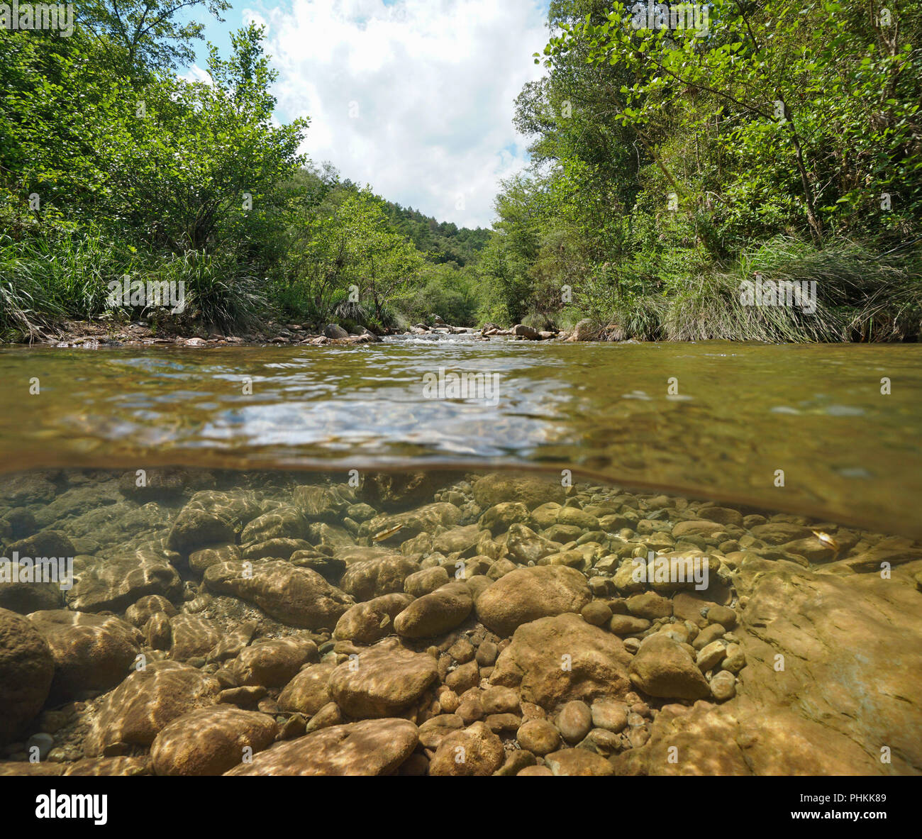 Small wild river with vegetation on the riverbanks and rocks underwater ...