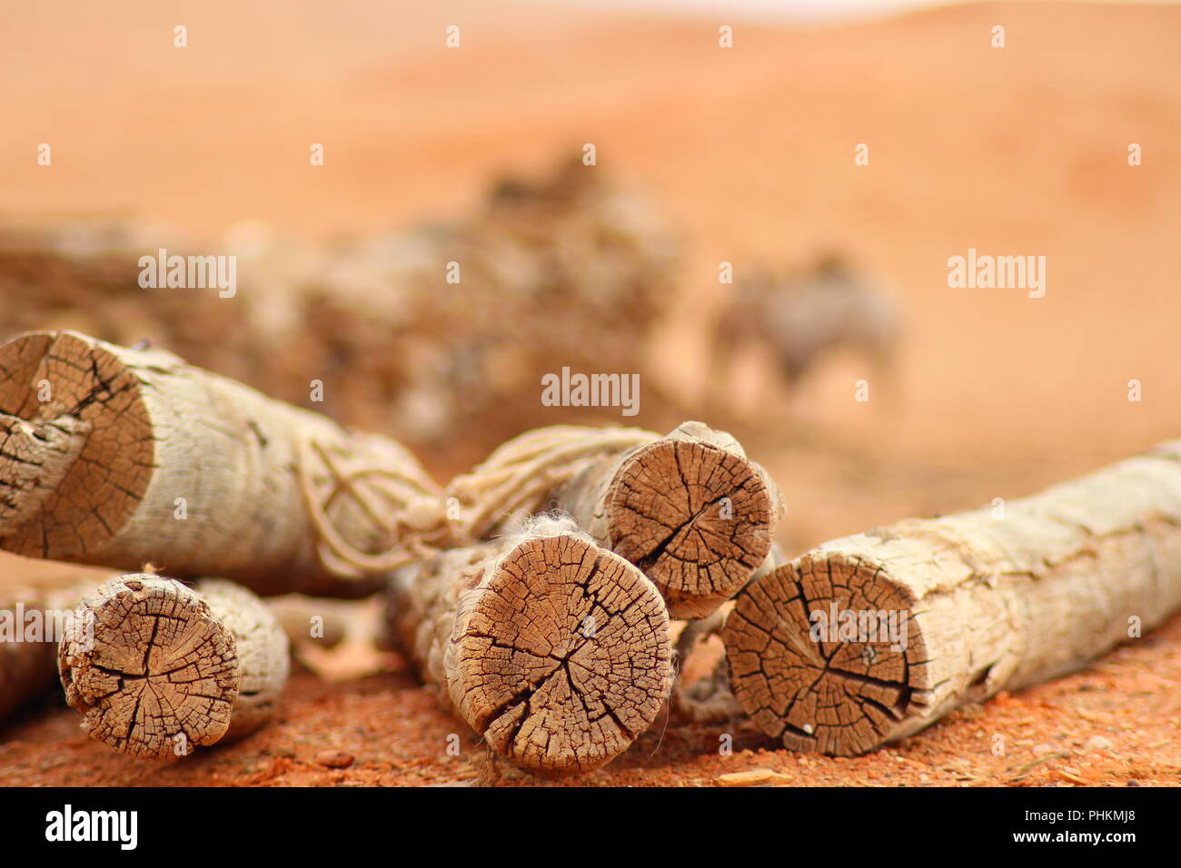 wood poles texture close-up - Mongolia Stock Photo - Alamy