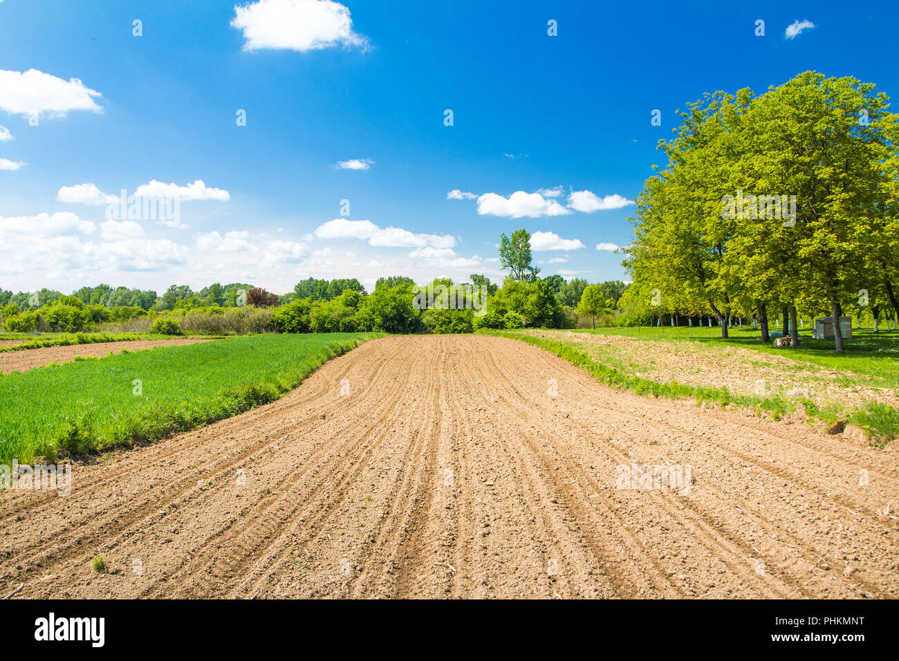 Agriculture landscape, ploughland in nature park Lonjsko Polje, Croatia ...