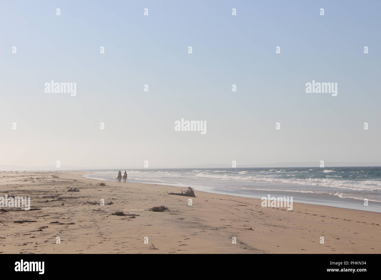 Two equestrians riding on the beach at Praia do Tofo - Mozambique Stock ...