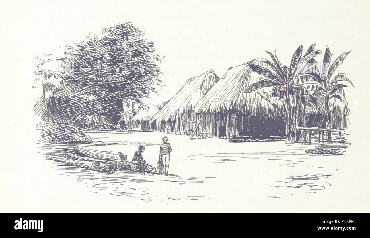 Image from page 262 of 'Travels and Adventures of an Orchid Hunter ...