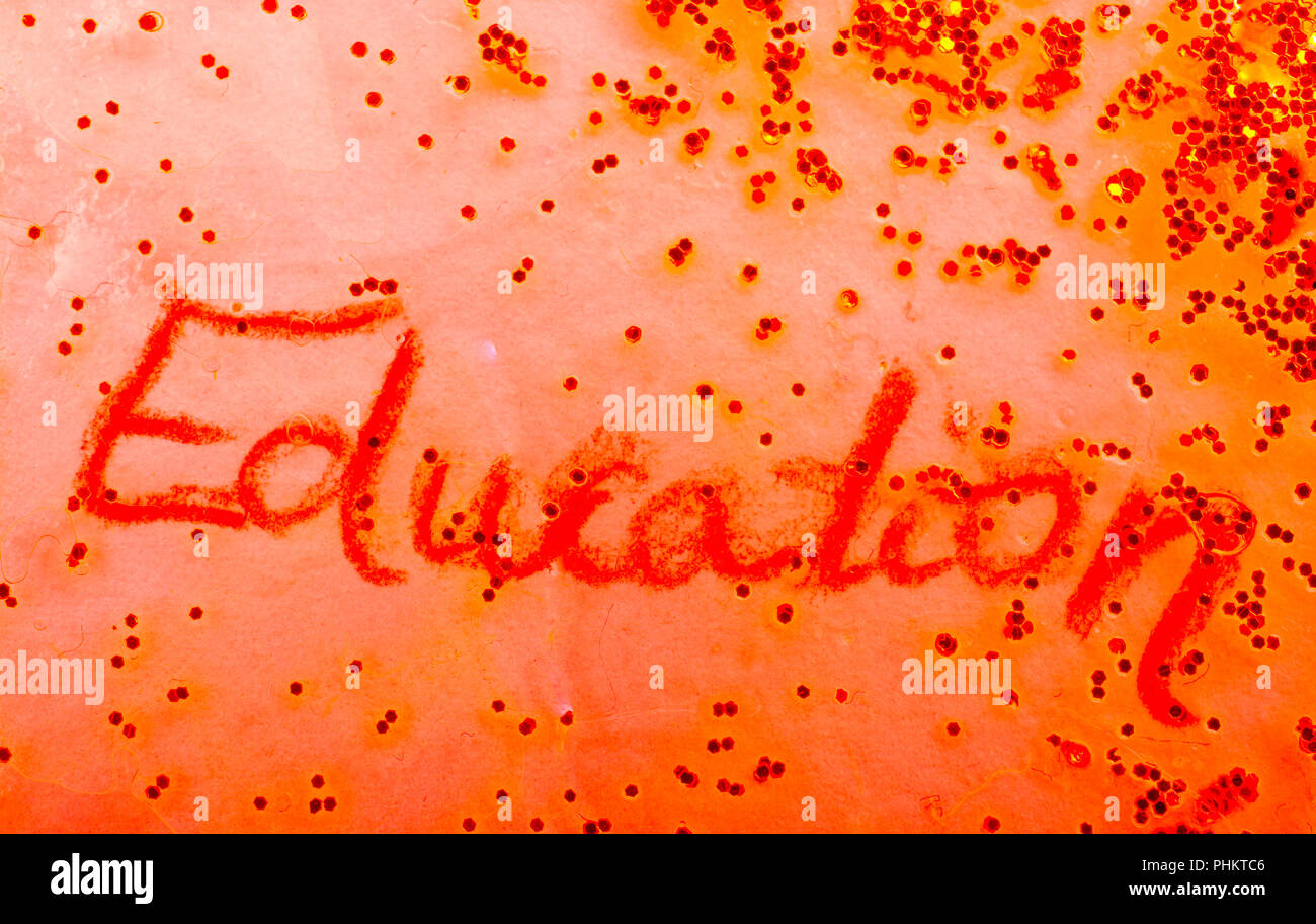 Back to school theme with education title Stock Photo - Alamy