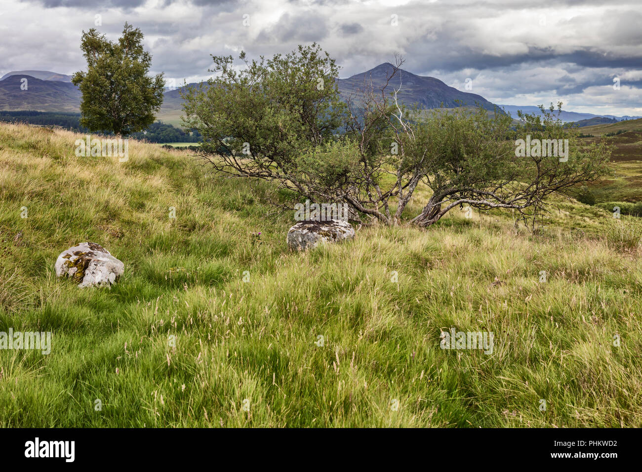 Highlands landscape, Scotland, UK Stock Photo - Alamy