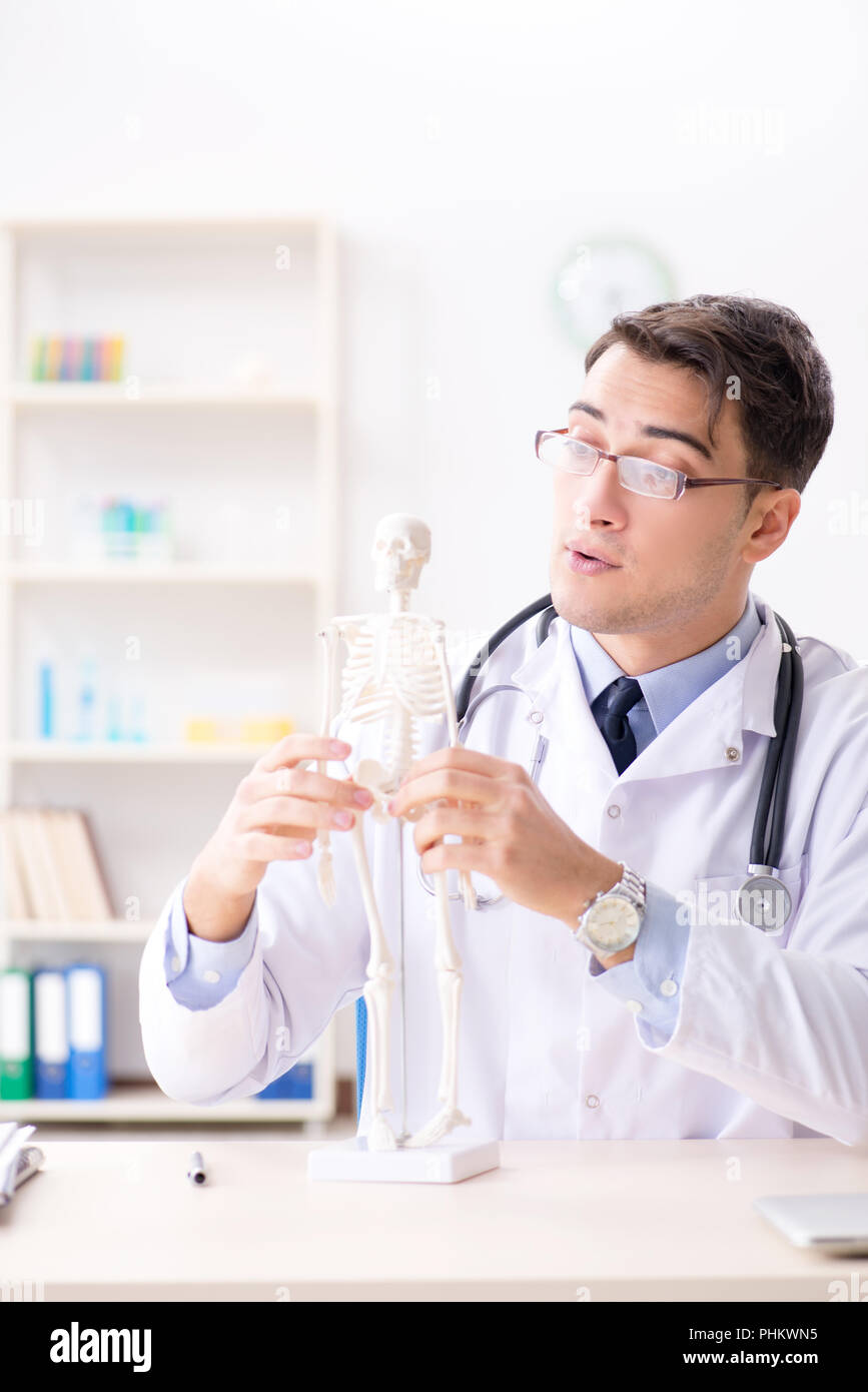 Doctor explaining human body on skeleton Stock Photo - Alamy