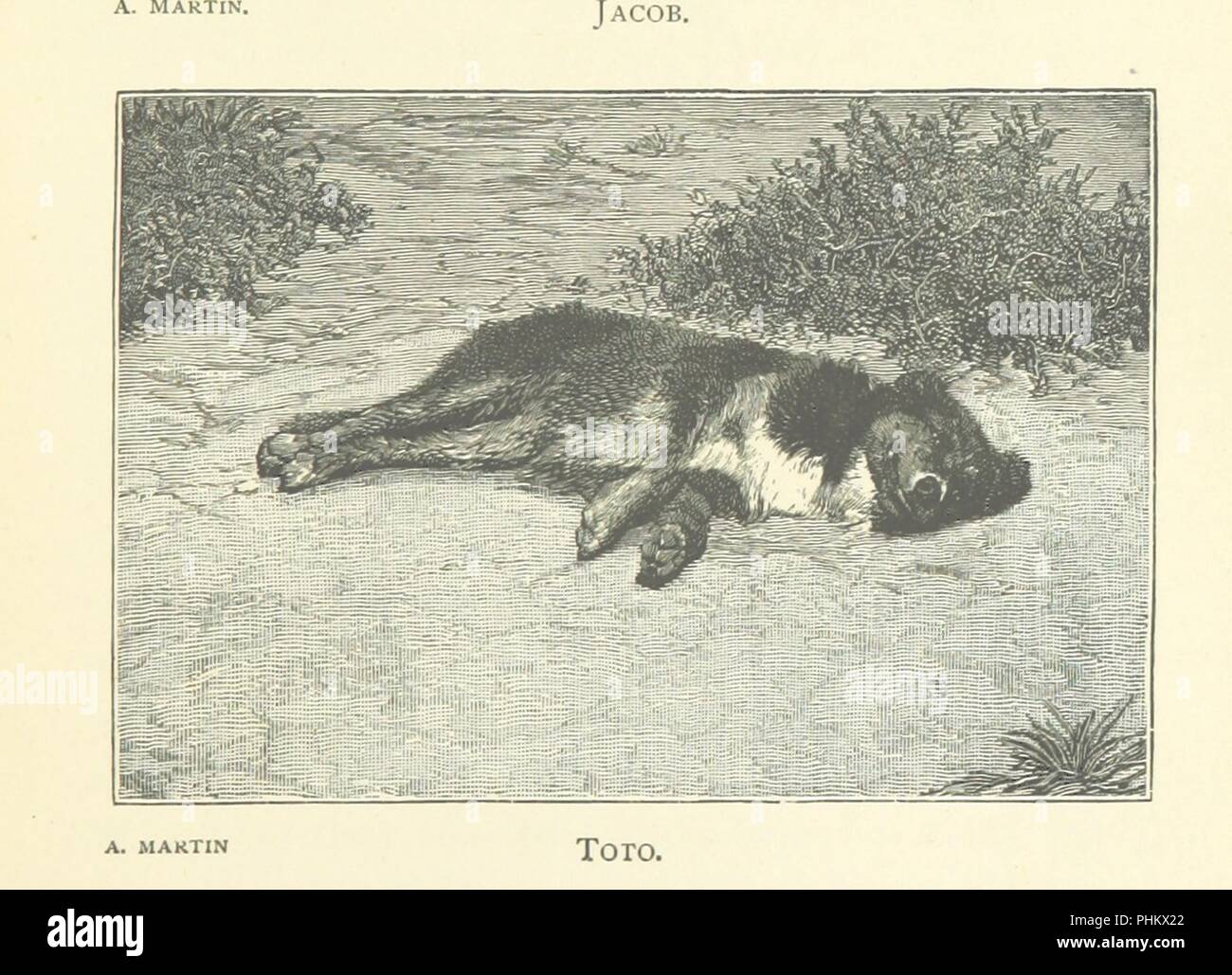 Second life home page hi-res stock photography and images - Alamy