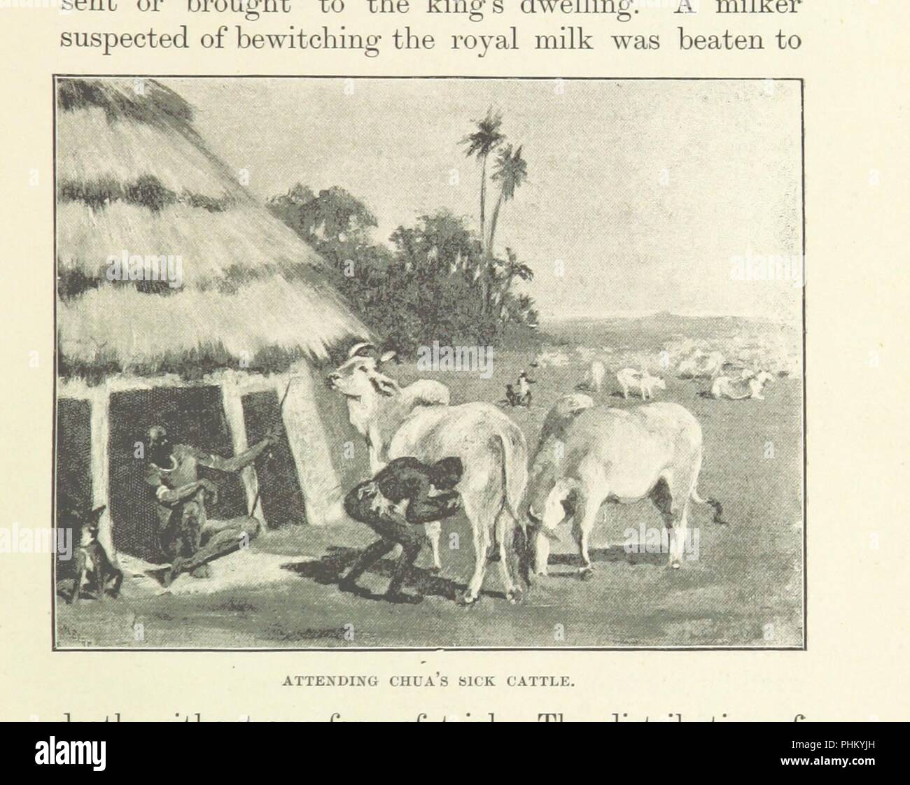 Image from page 47 of 'Ten Years in Equatoria and the Return with Emin ...