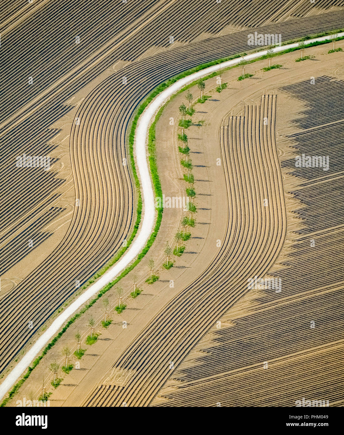 Aerial view, field with dirt road between An Der Linde and Castroper ...