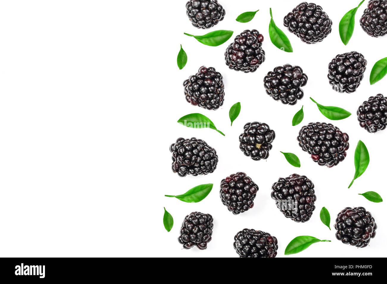 Fresh blackberry isolated on white background with copy space for your ...