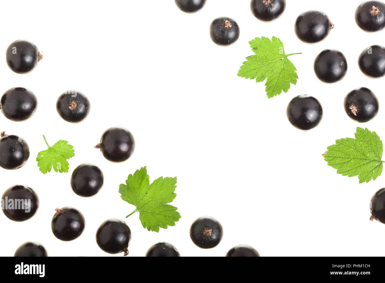 black currant isolated on white background with copy space for your ...