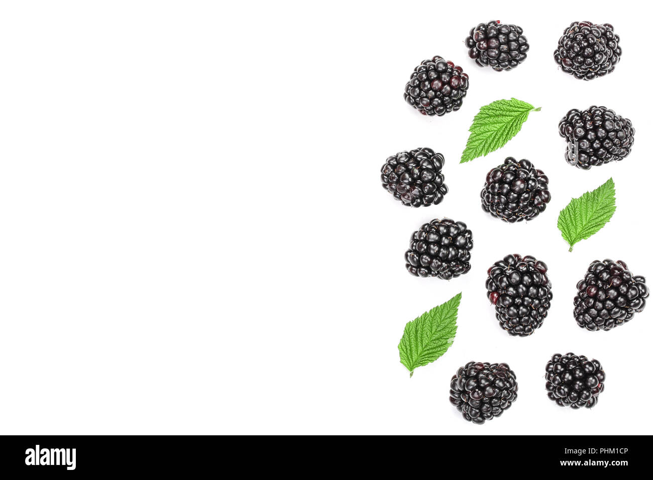 Fresh blackberry with leaves isolated on white background with copy ...