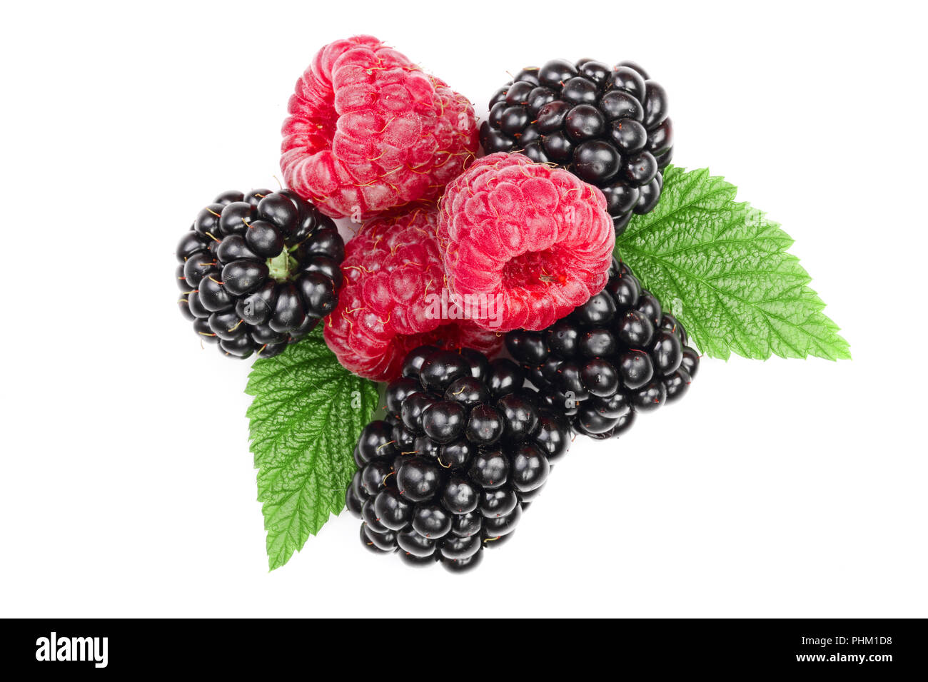 blackberry and raspberry with leaves isolated on white background. Top ...