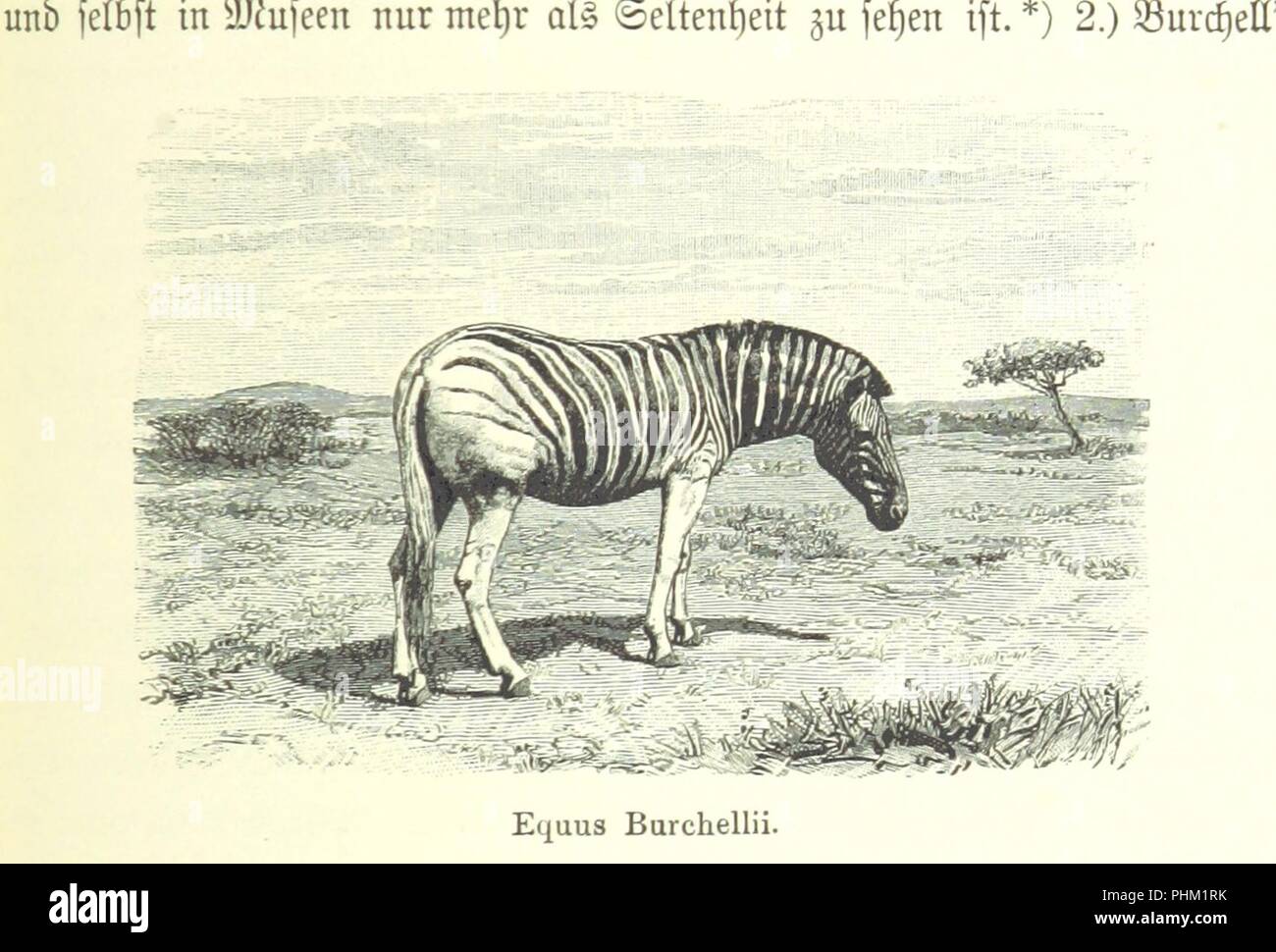 Image from page 595 of 'Zum Rudolph-See und Stephanie-See. Die ...