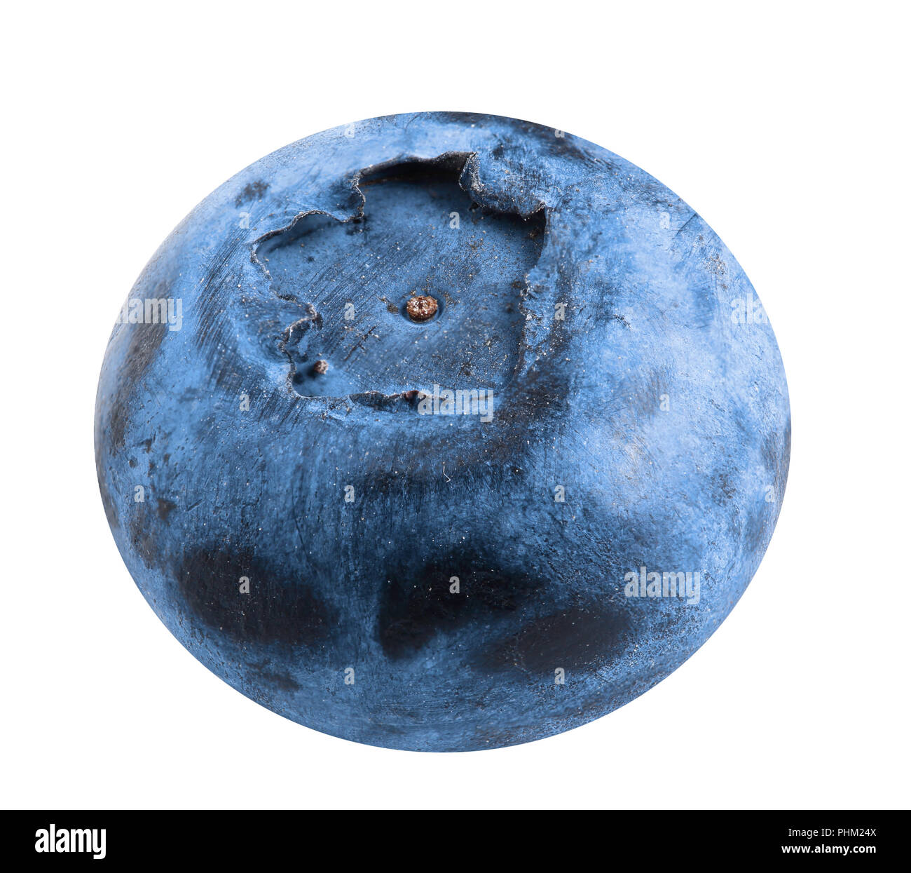 Single fresh blueberry isolated on white background Stock Photo - Alamy