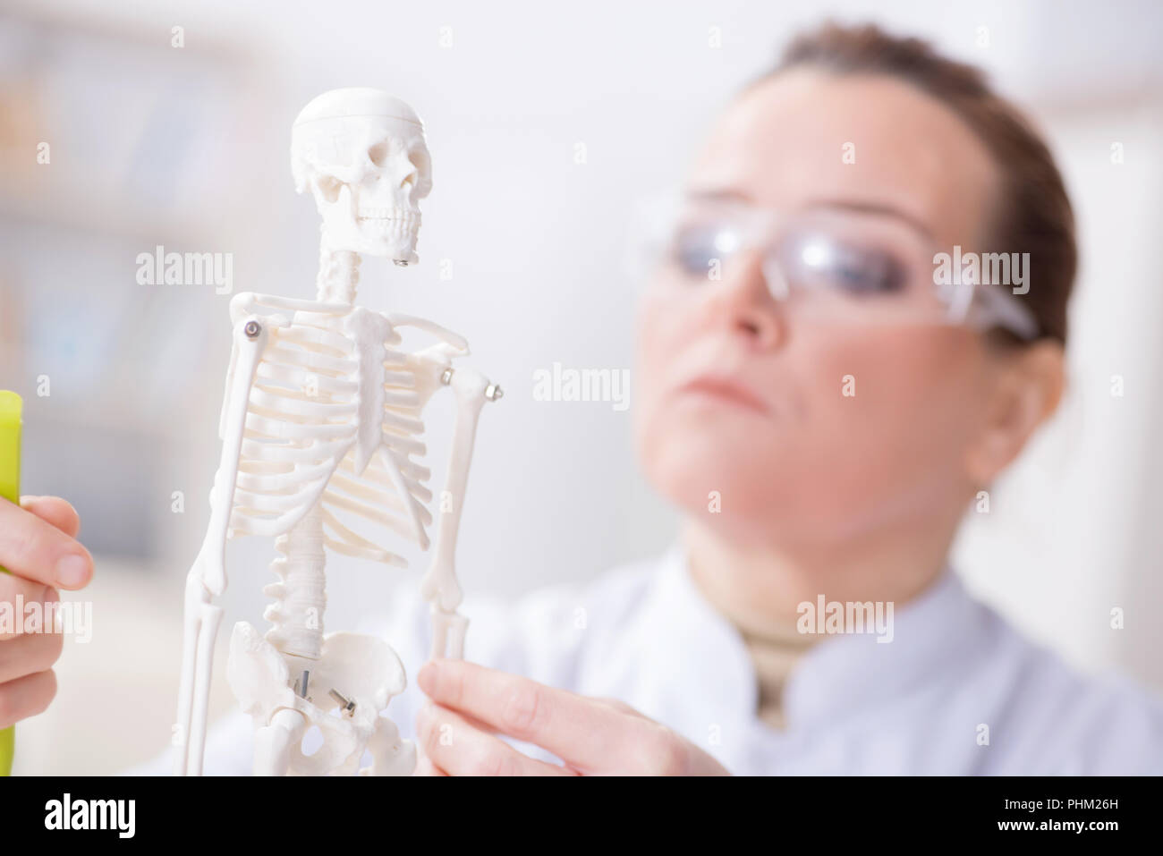 Woman doctor studying human skeleton Stock Photo - Alamy