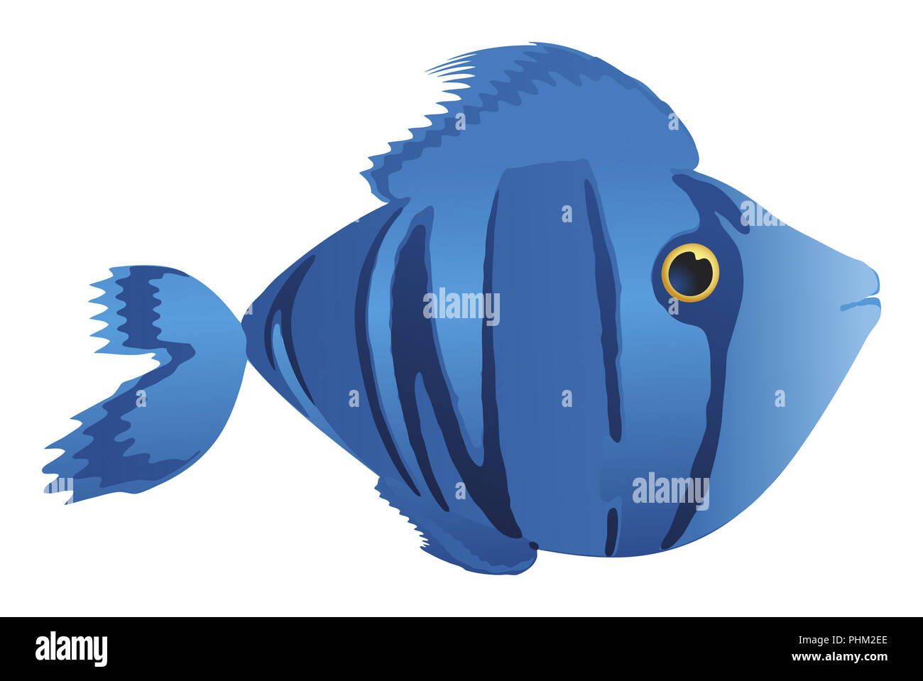 blue comic fish Stock Photo - Alamy