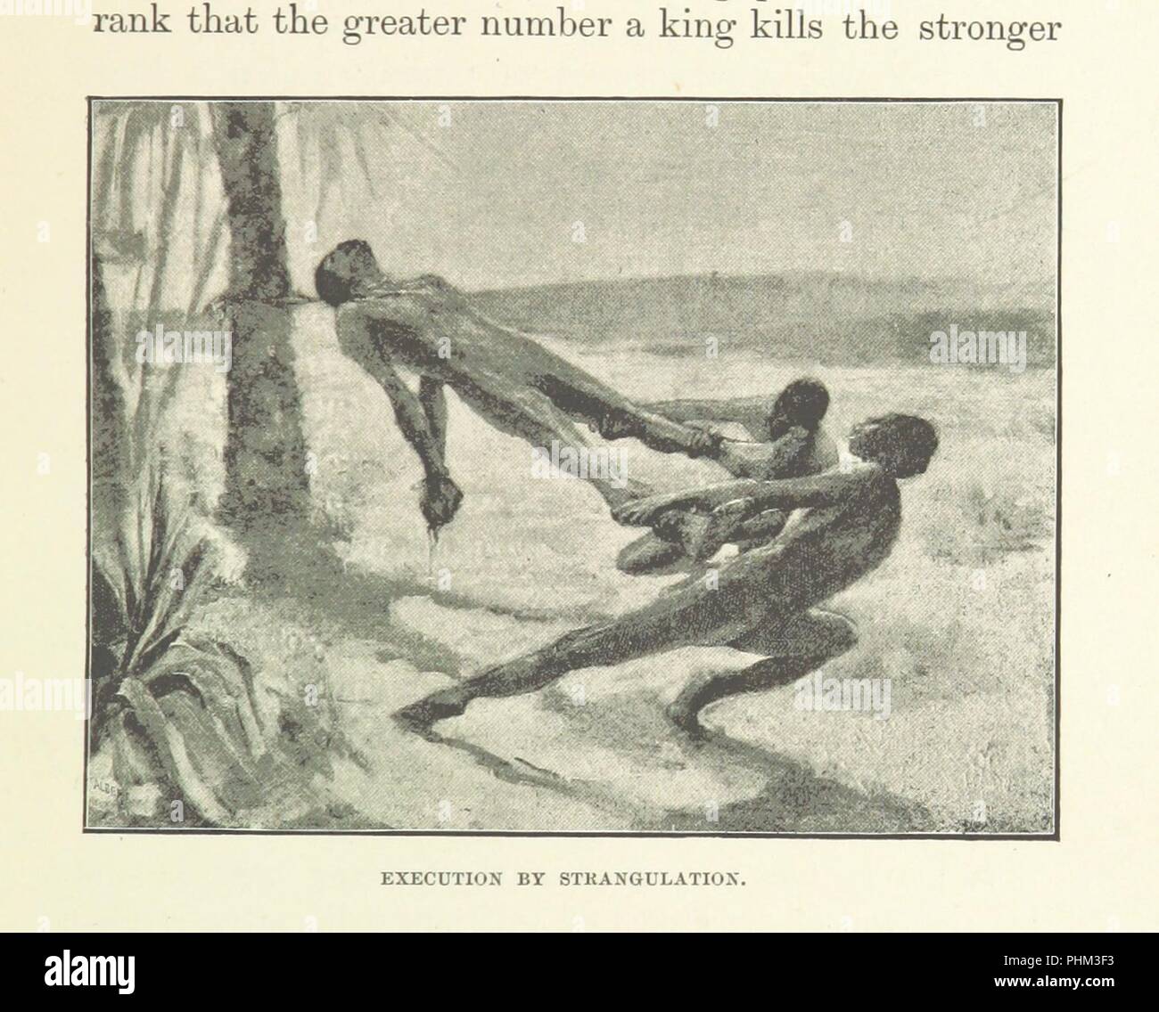 Image from page 273 of 'Ten Years in Equatoria and the Return with Emin ...