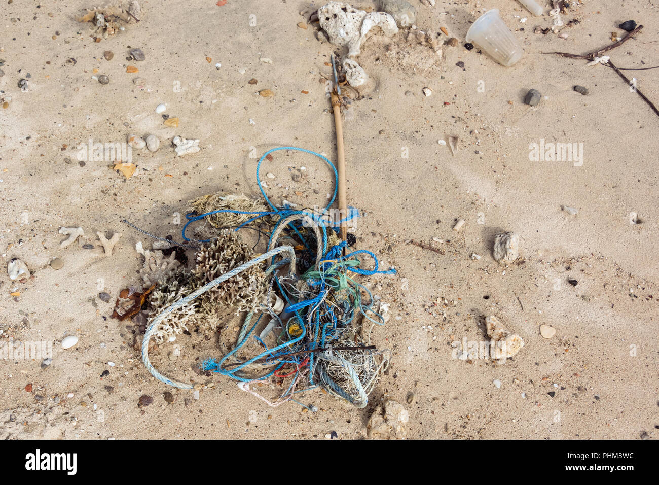 Ocean debris that can ensnare marine animals and birds, washed up on ...