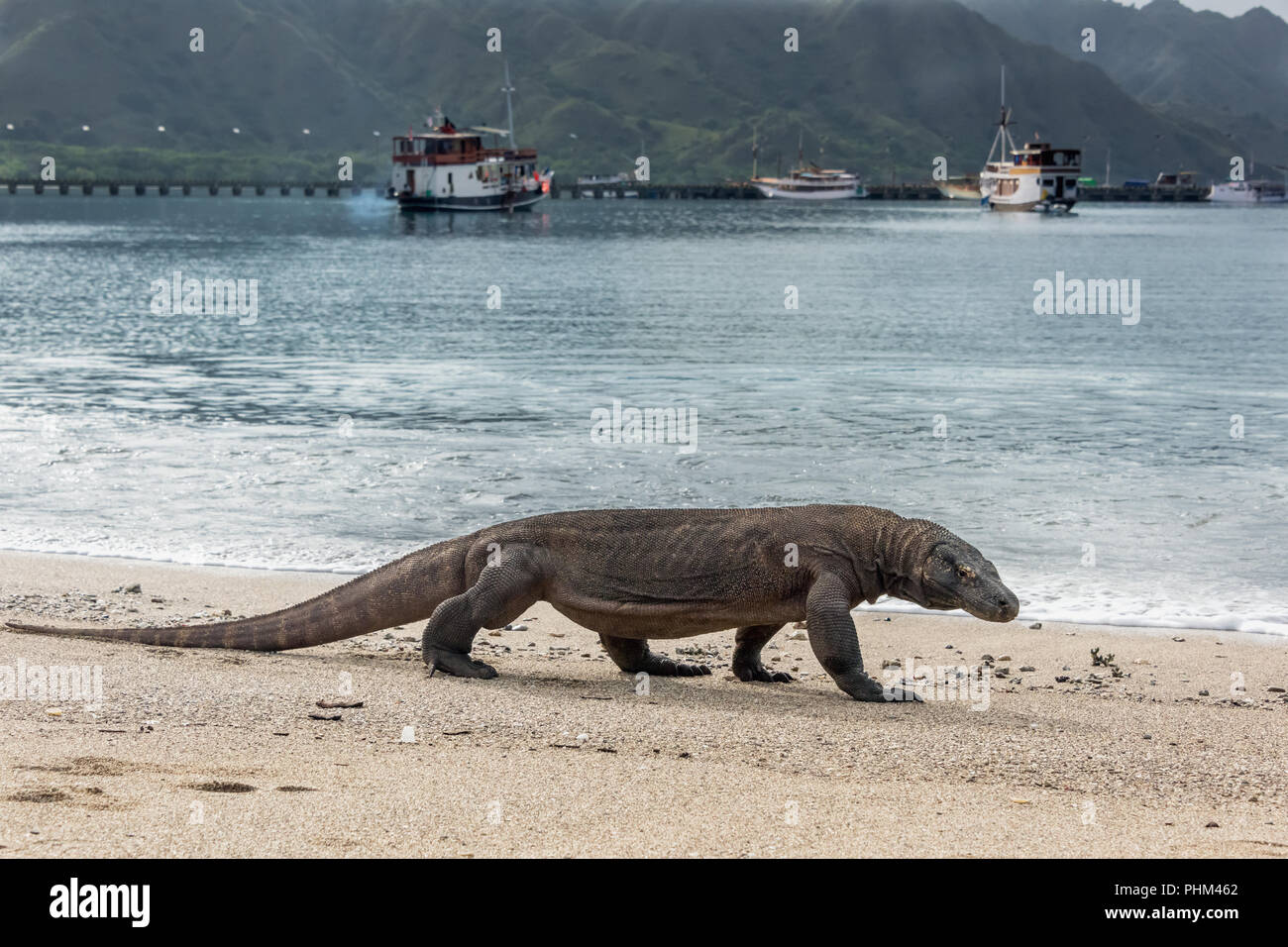 A stroll along the beach with tourist ships in the background,, large ...