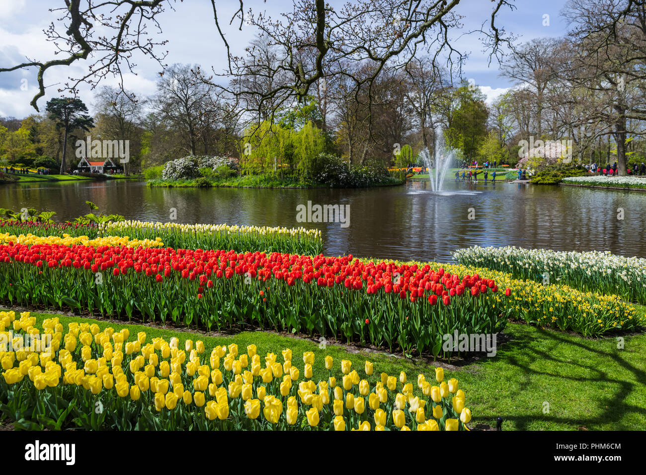 Flowers in garden Keukenhof Netherlands Stock Photo - Alamy