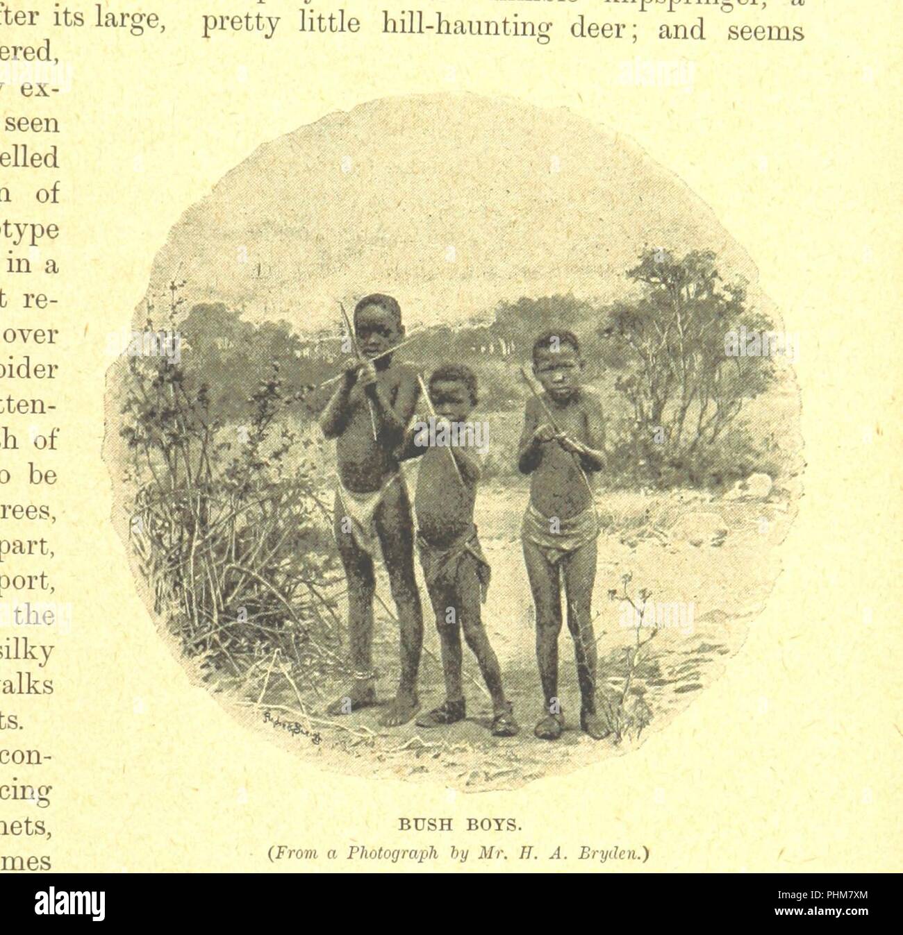 Image from page 547 of '[The Story of Africa and its Explorers. [With ...