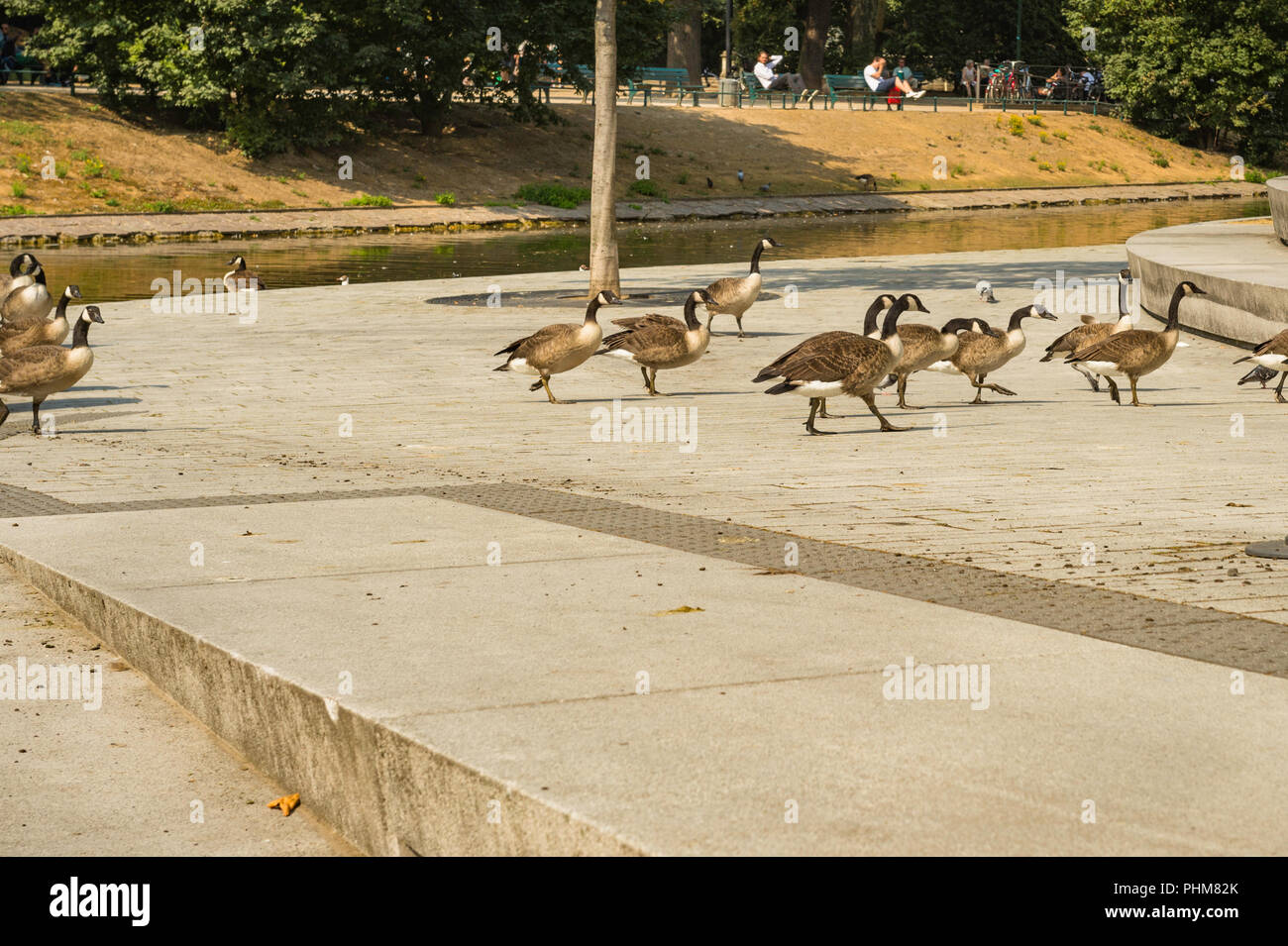 Dussel river hi-res stock photography and images - Alamy