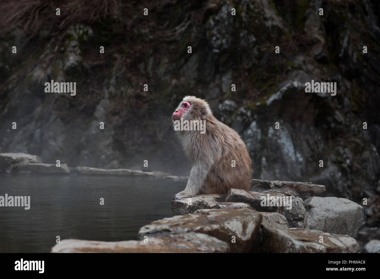 Nagano hot springs hi-res stock photography and images - Alamy
