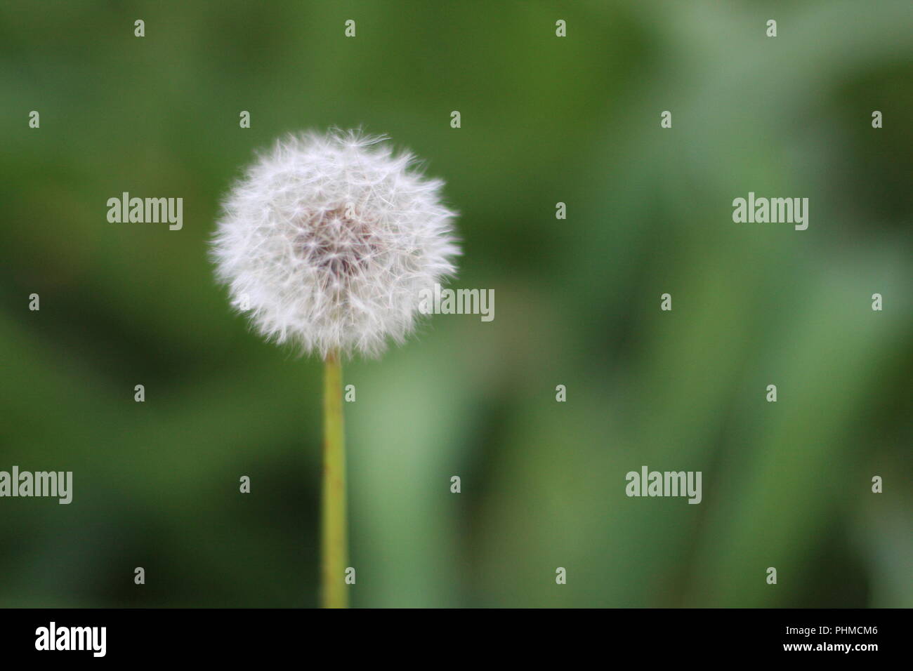 airplane in sky Stock Photo - Alamy