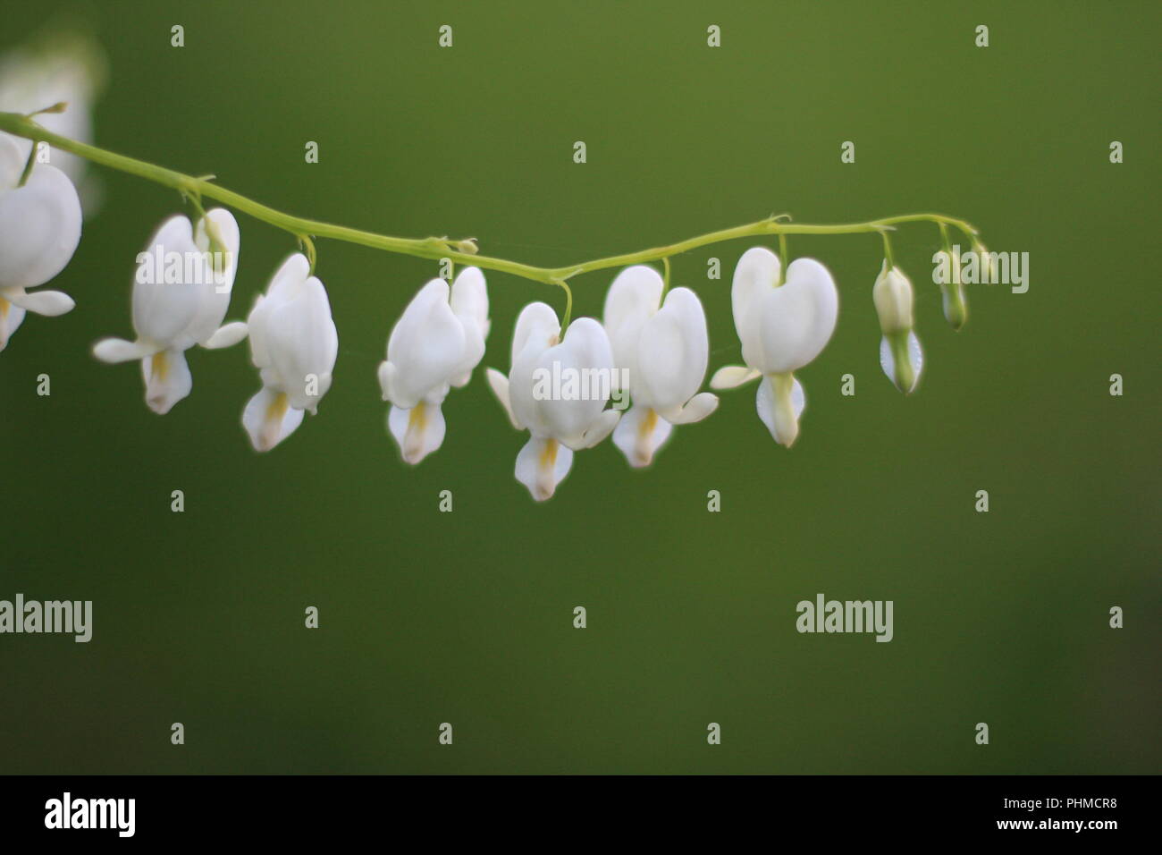 airplane in sky Stock Photo - Alamy