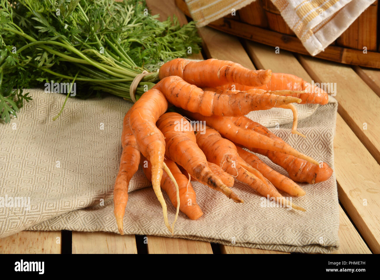 A bunch of fresh organic baby carrots drying on a towel Stock Photo - Alamy