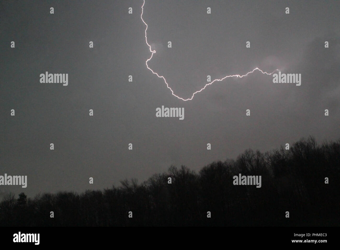 Lightning thunder tree hi-res stock photography and images - Alamy
