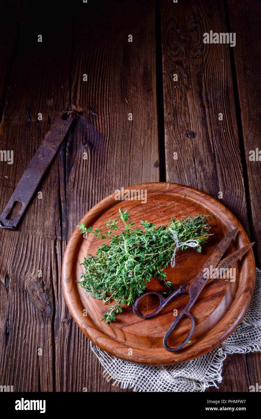 Thymian (Thymus vulgaris Stock Photo - Alamy