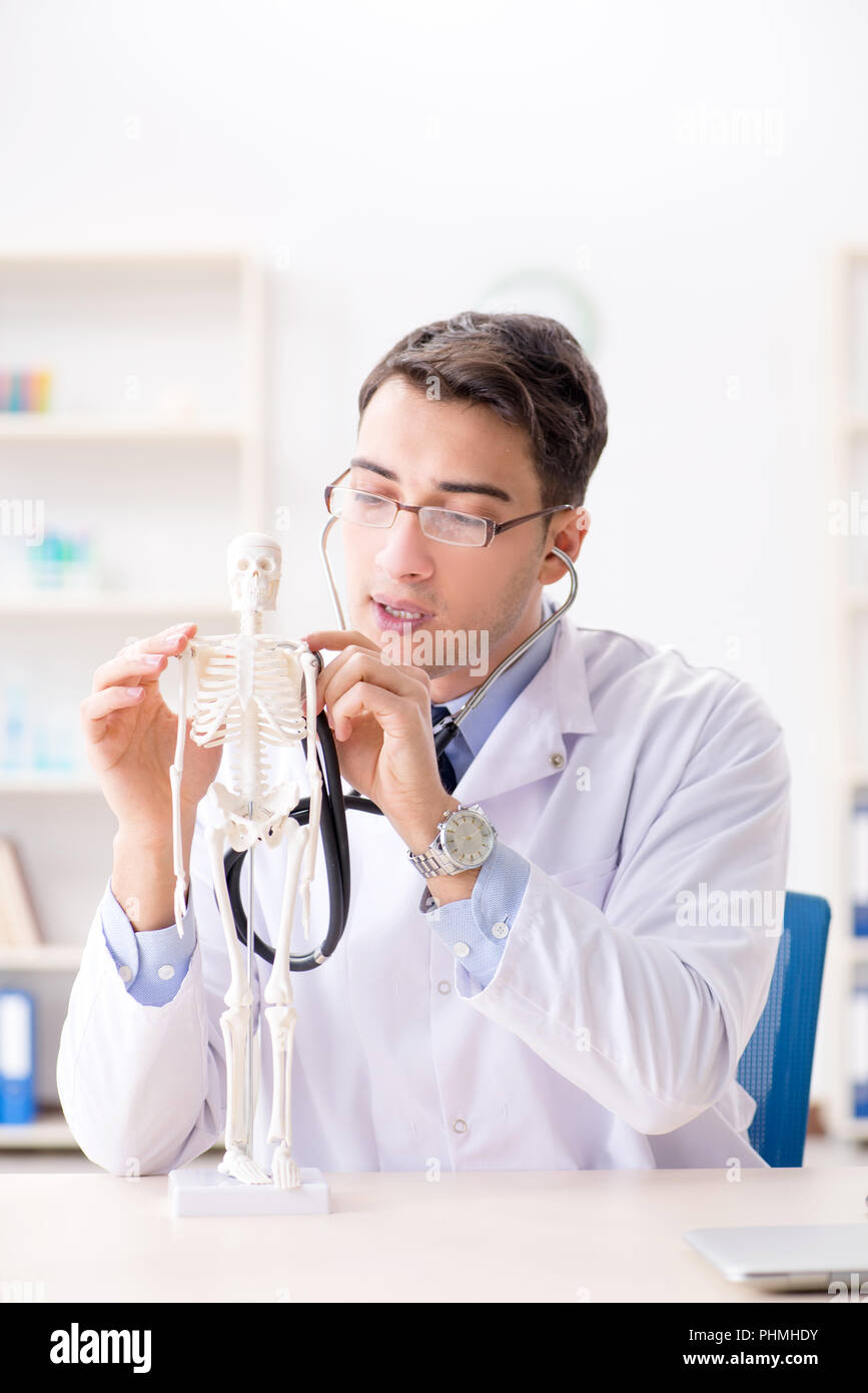 Doctor explaining human body on skeleton Stock Photo - Alamy