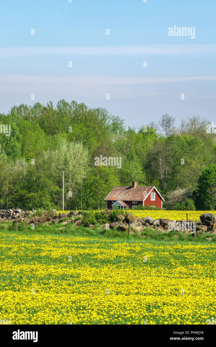 Meadow cottage hi-res stock photography and images - Alamy