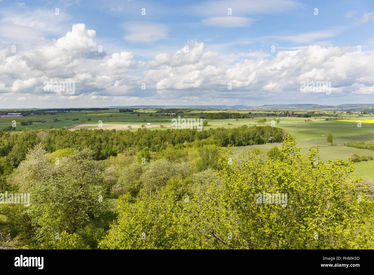 Aerial view over fields forest hi-res stock photography and images - Alamy