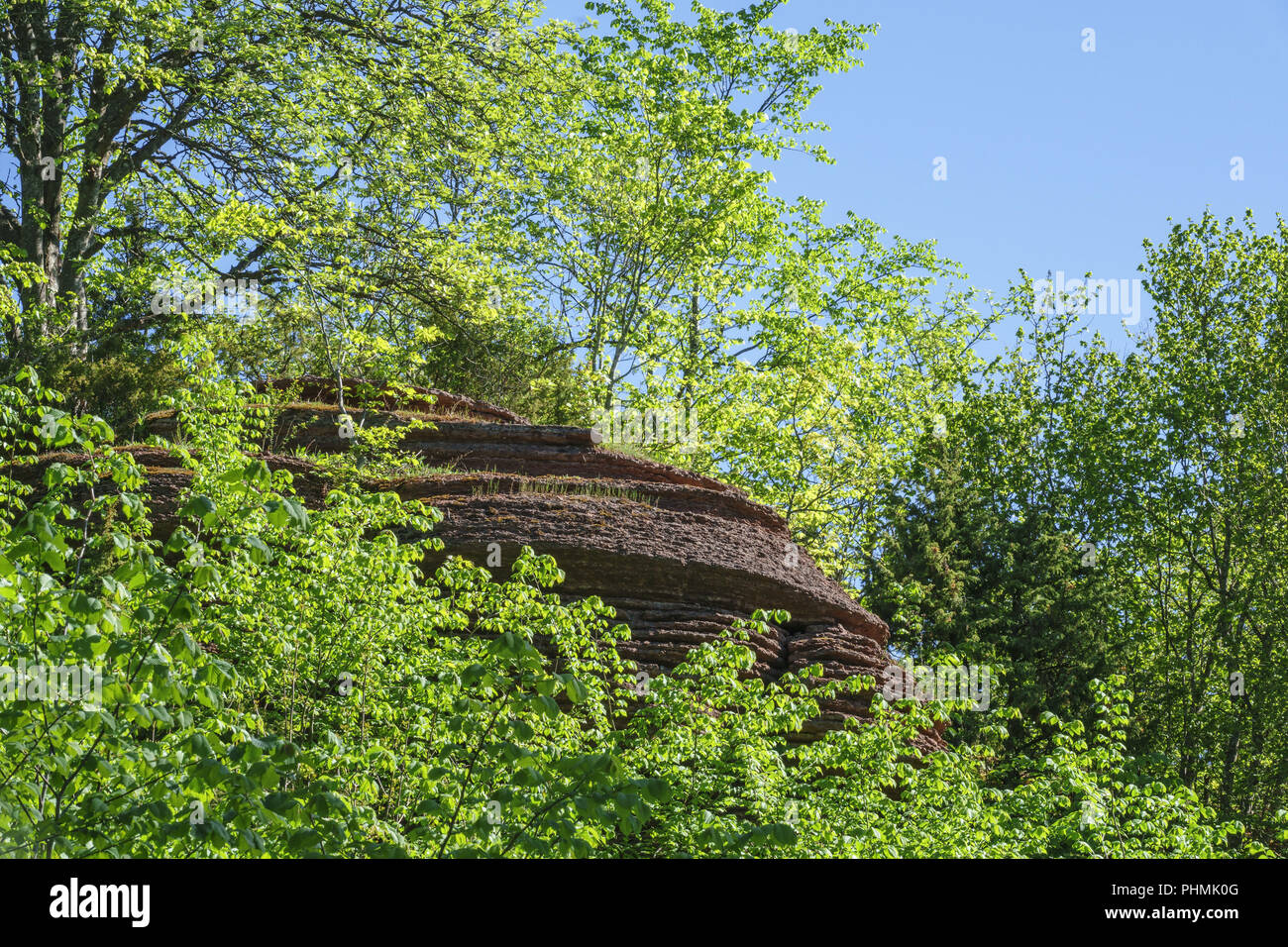Rock formation in a green leafy woodland in summer Stock Photo - Alamy