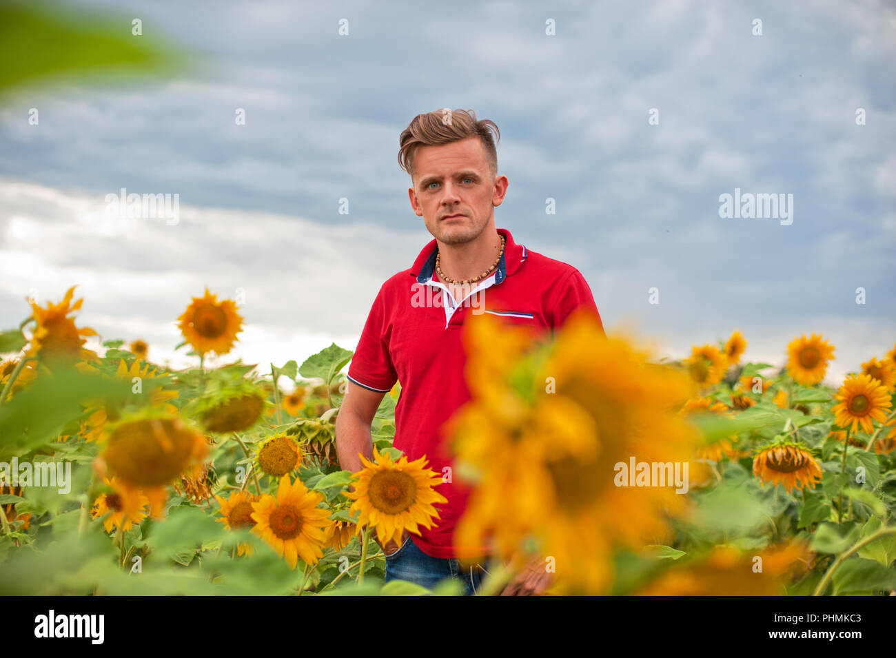 Man standing in front of sunflowers Stock Photo - Alamy
