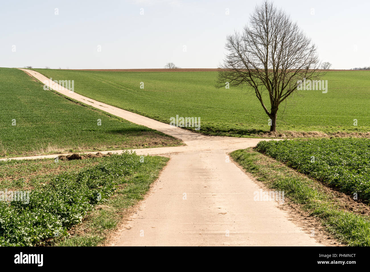 Intensive monoculture hi-res stock photography and images - Alamy