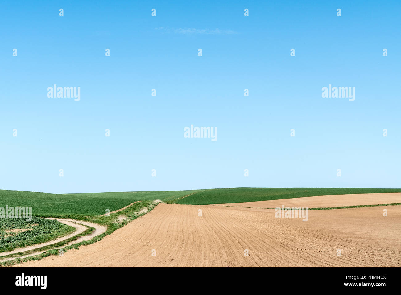 Fields in intensive Agriculture Stock Photo - Alamy