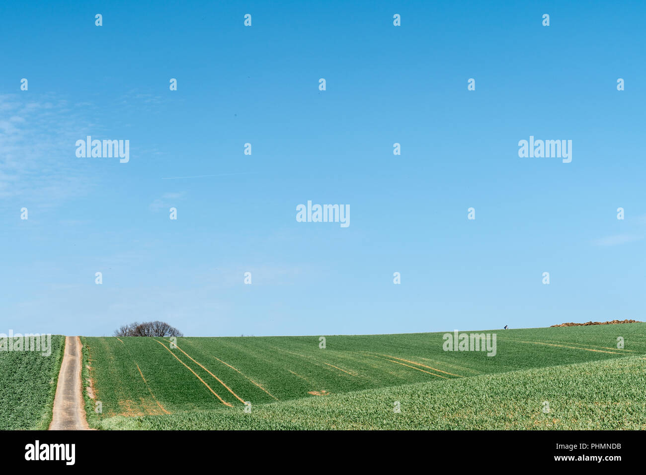 Fields in intensive Agriculture Stock Photo - Alamy